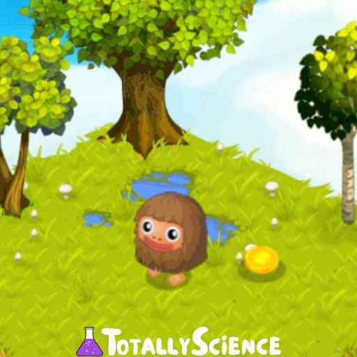 Classes - Definitely Science